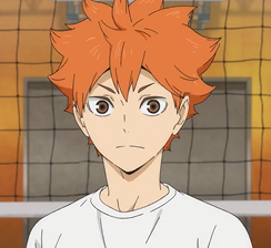 Ninja Shoyo - A Jornada de Hinata em Haikyuu