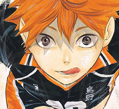 Ninja Shoyo - A Jornada de Hinata em Haikyuu